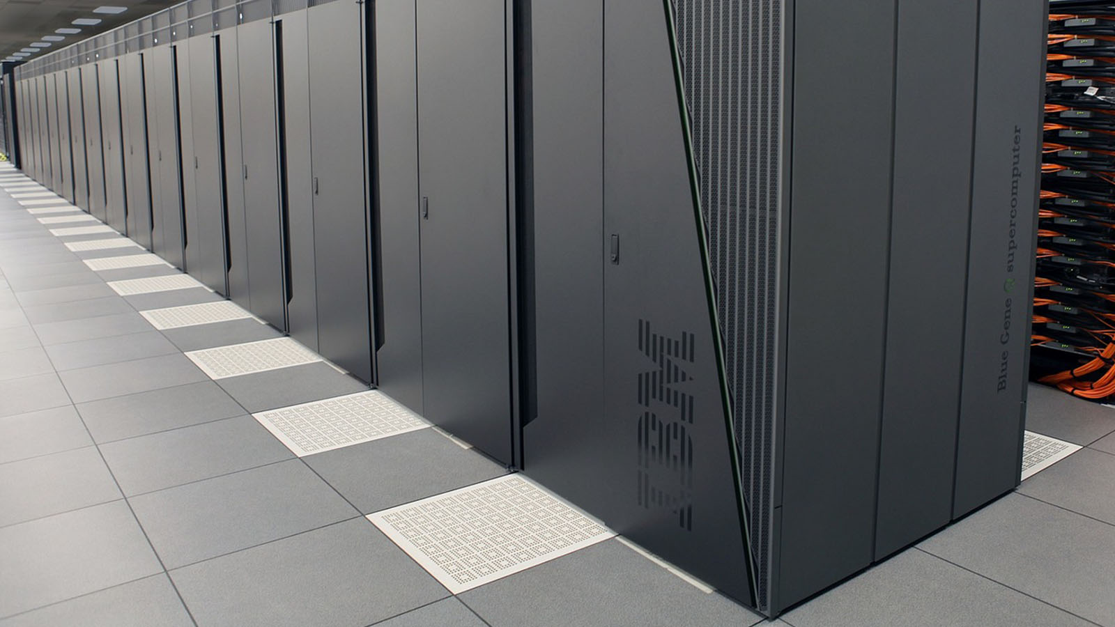 Adapt Or Die: IBM's Rebirth